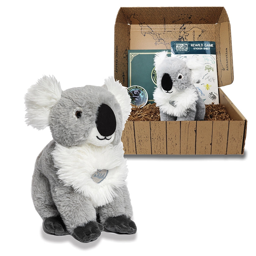 Koala Rescue Plush Adoption Box – Call For The Wild