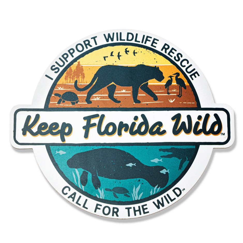 Accessories – Call For The Wild